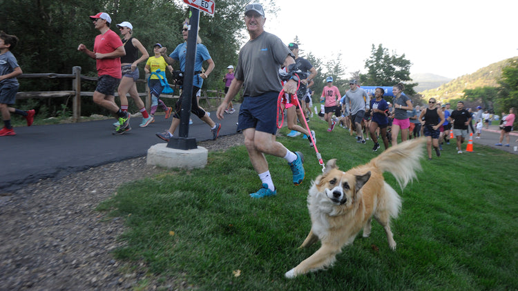 Bark City 5K – The Running of the Balls